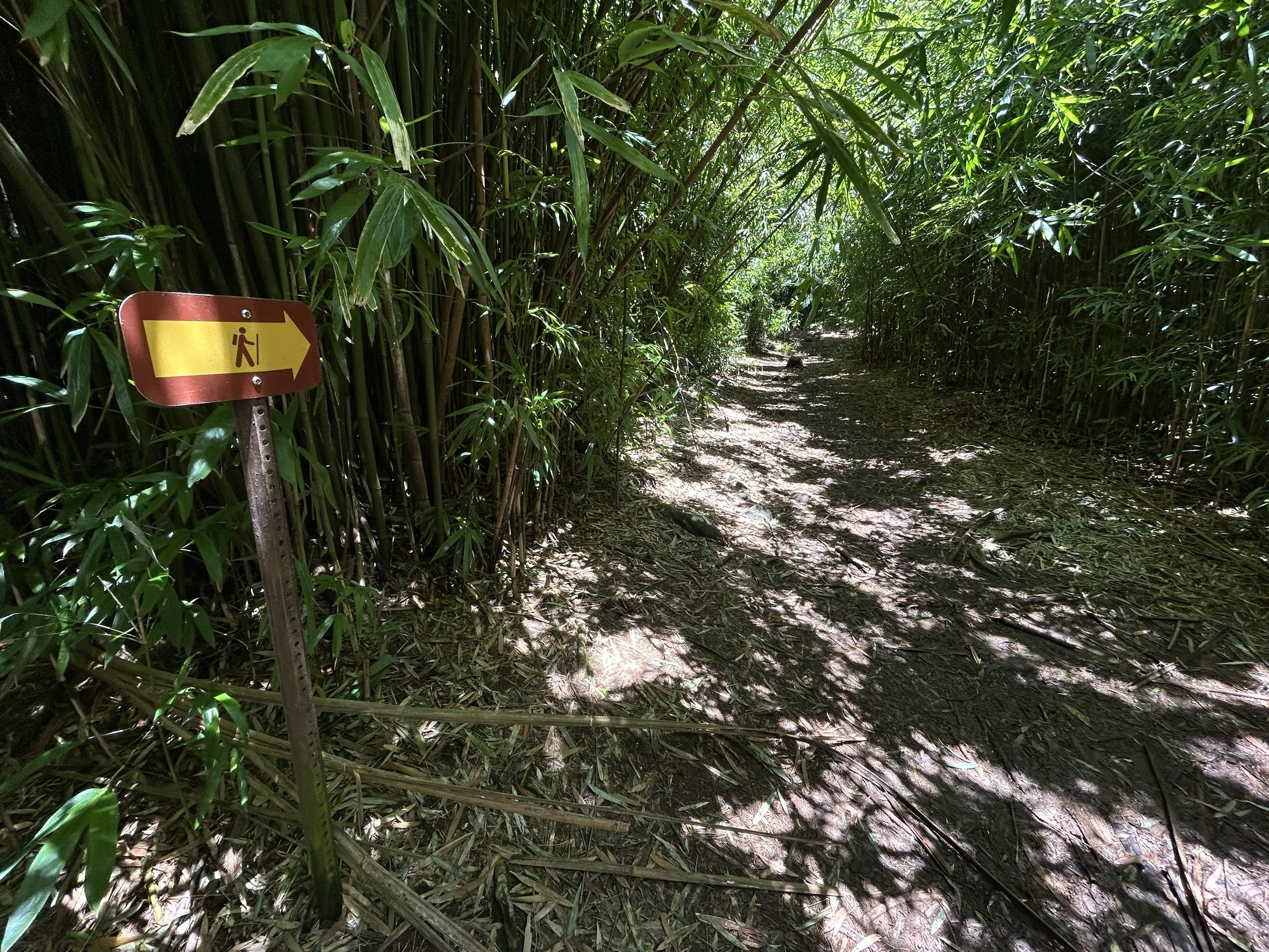 Hiking the Judd Trail & Jackass Ginger Pool on Oʻahu, Hawaiʻi — noahawaii