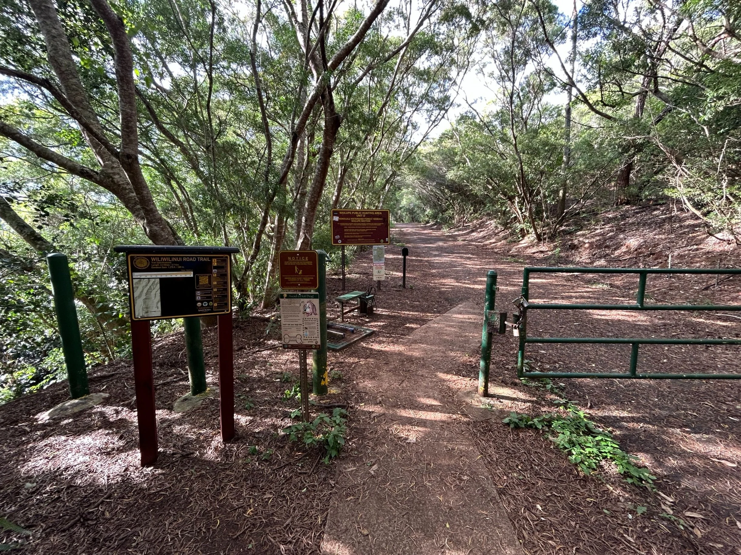Hiking the Wiliwilinui Ridge Trail on Oʻahu, Hawaiʻi — noahawaii
