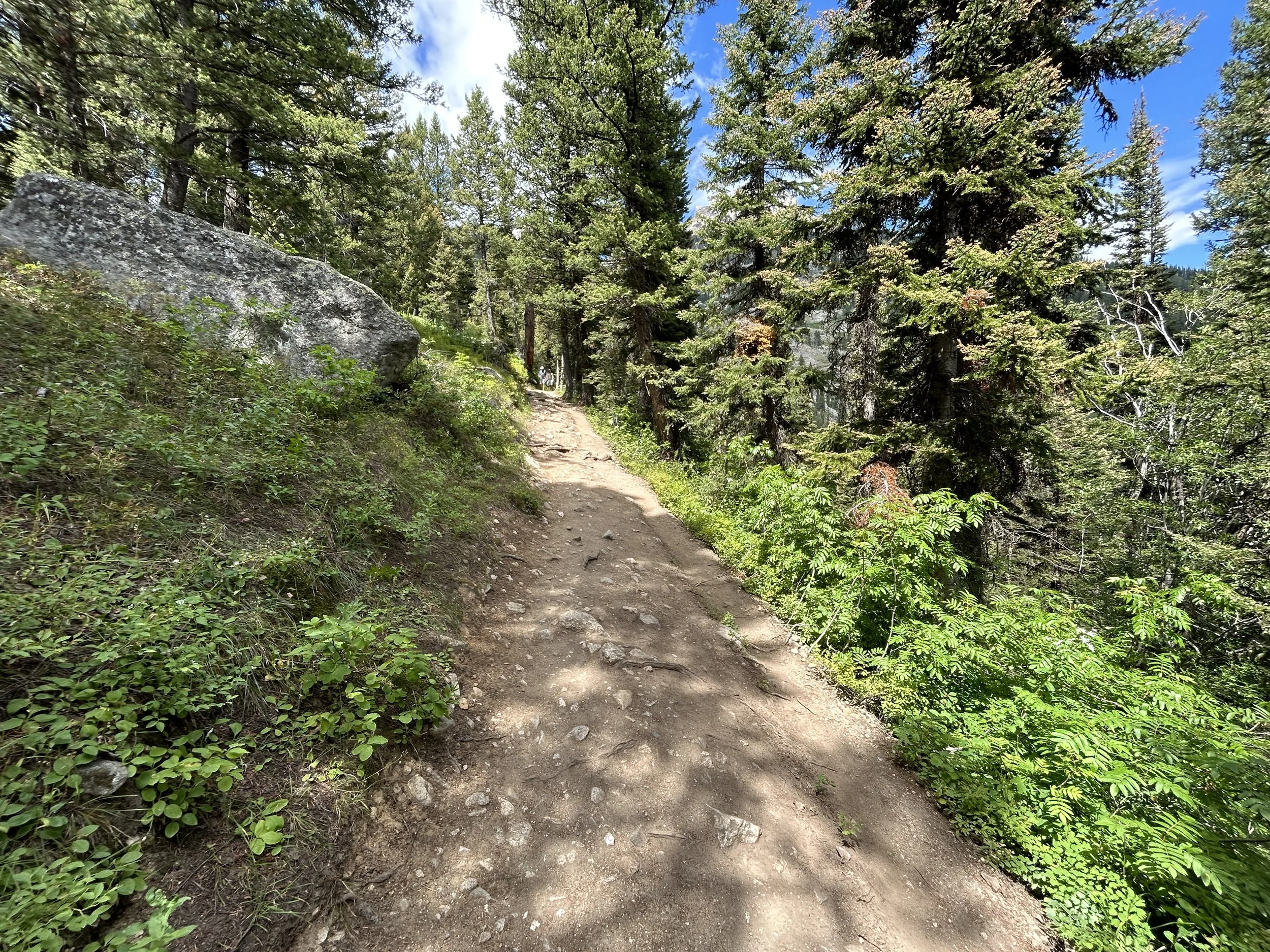 Hiking the Delta Lake Trail via Lupine Meadows in Grand Teton National ...