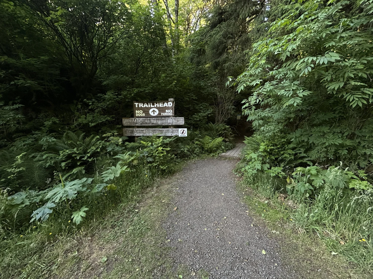 Hiking the Lower Cascade Head Trail on the Oregon Coast — noahawaii