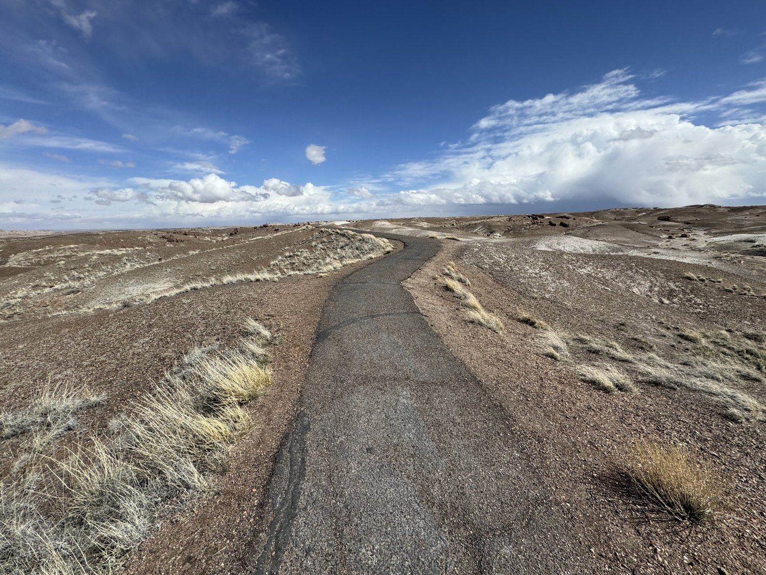 Hiking the Crystal Forest Trail in Petrified Forest National Park ...