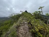 Hiking the Pride Rock Trail: Southeast Ridge of Puʻu ʻŌhulehule on ...