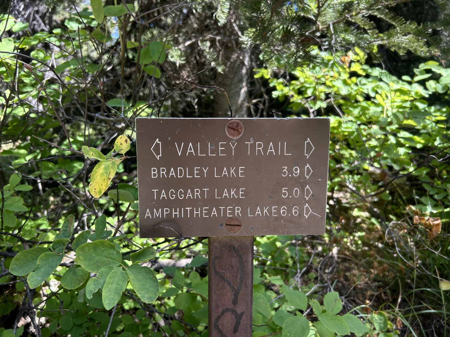 Hiking the Jenny Lake Loop Trail in Grand Teton National Park — noahawaii