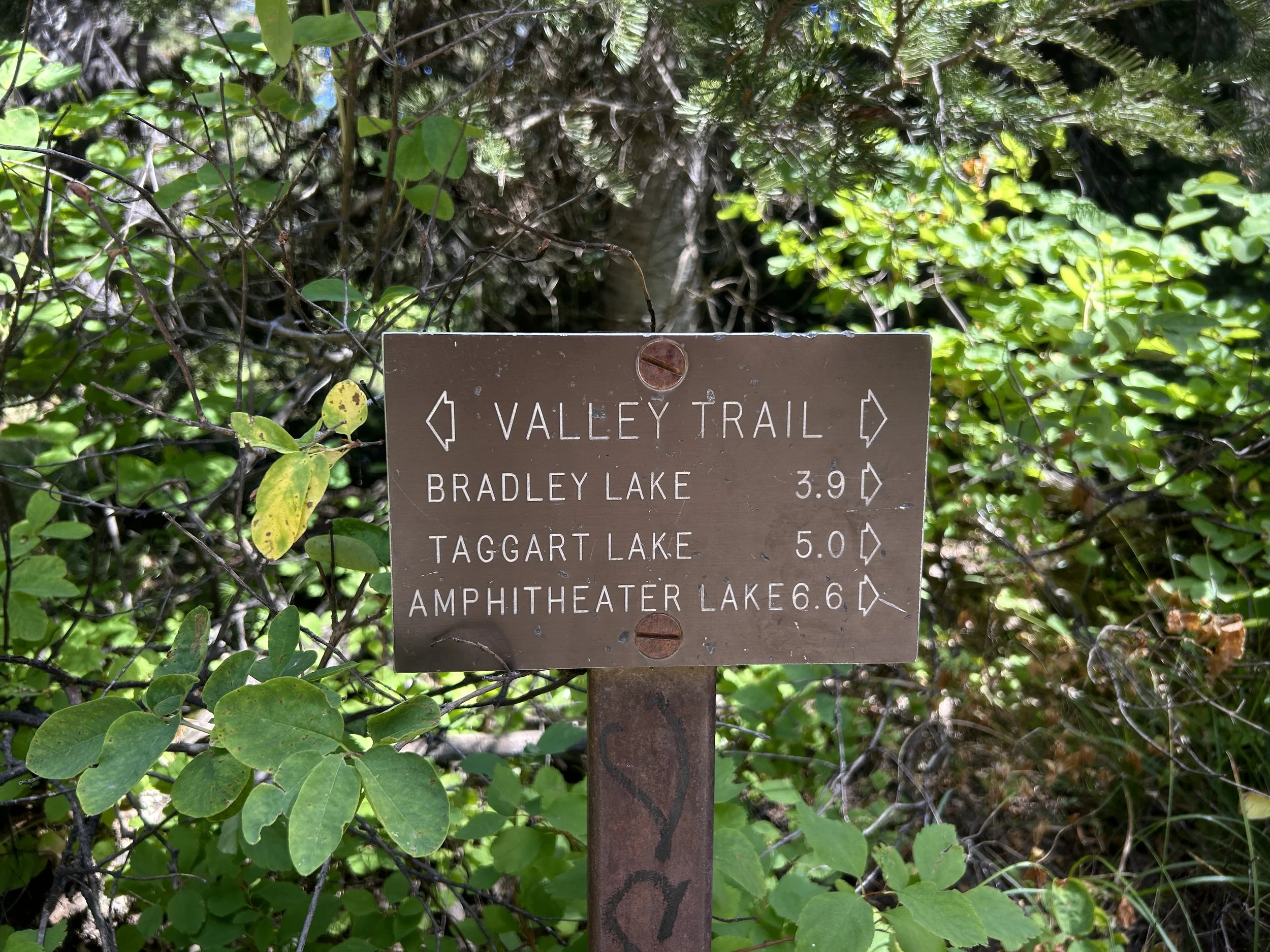 Hiking the Jenny Lake Loop Trail in Grand Teton National Park — noahawaii