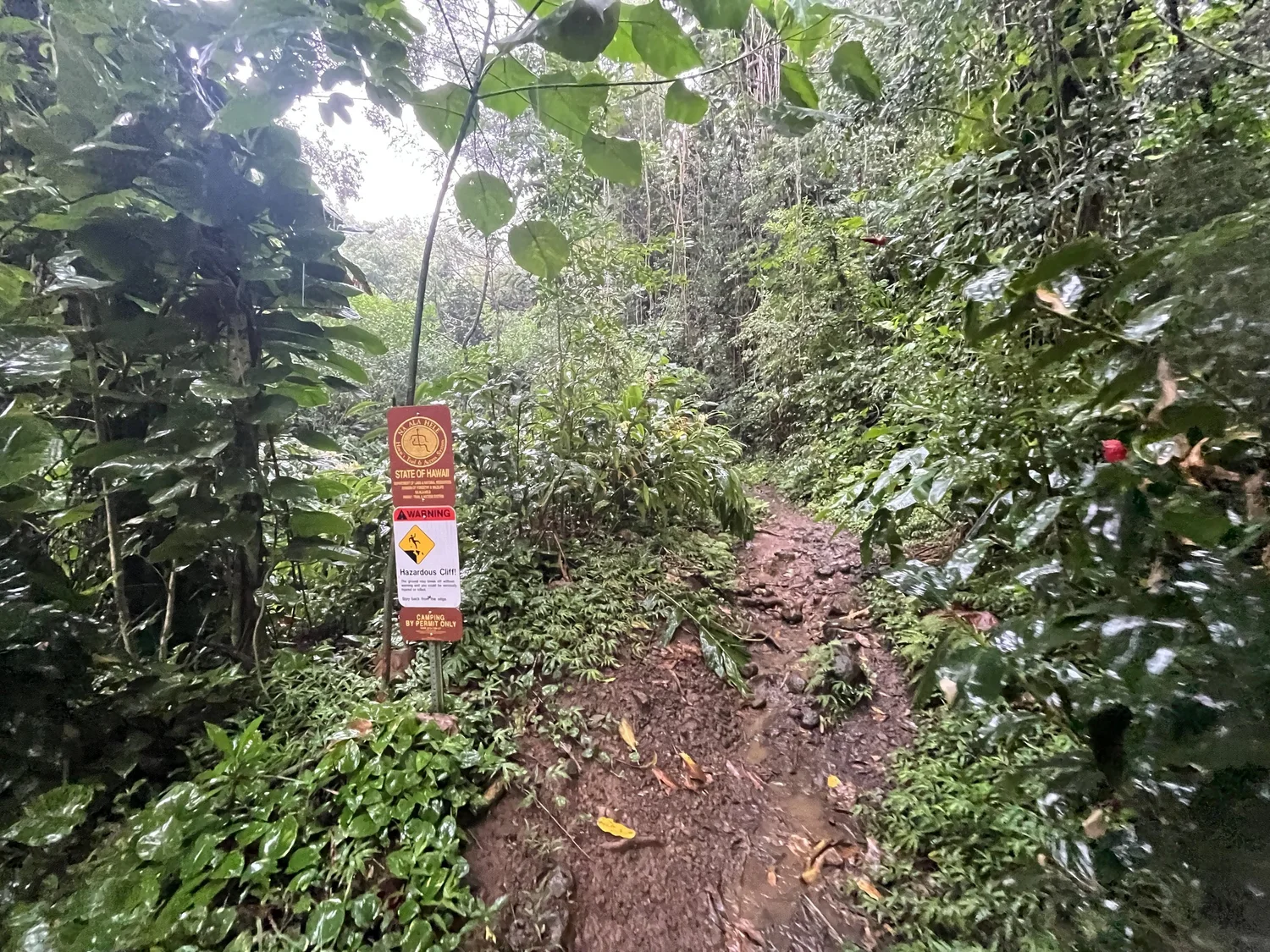 Hiking the Puʻu Pia Trail on Oʻahu — noahawaii