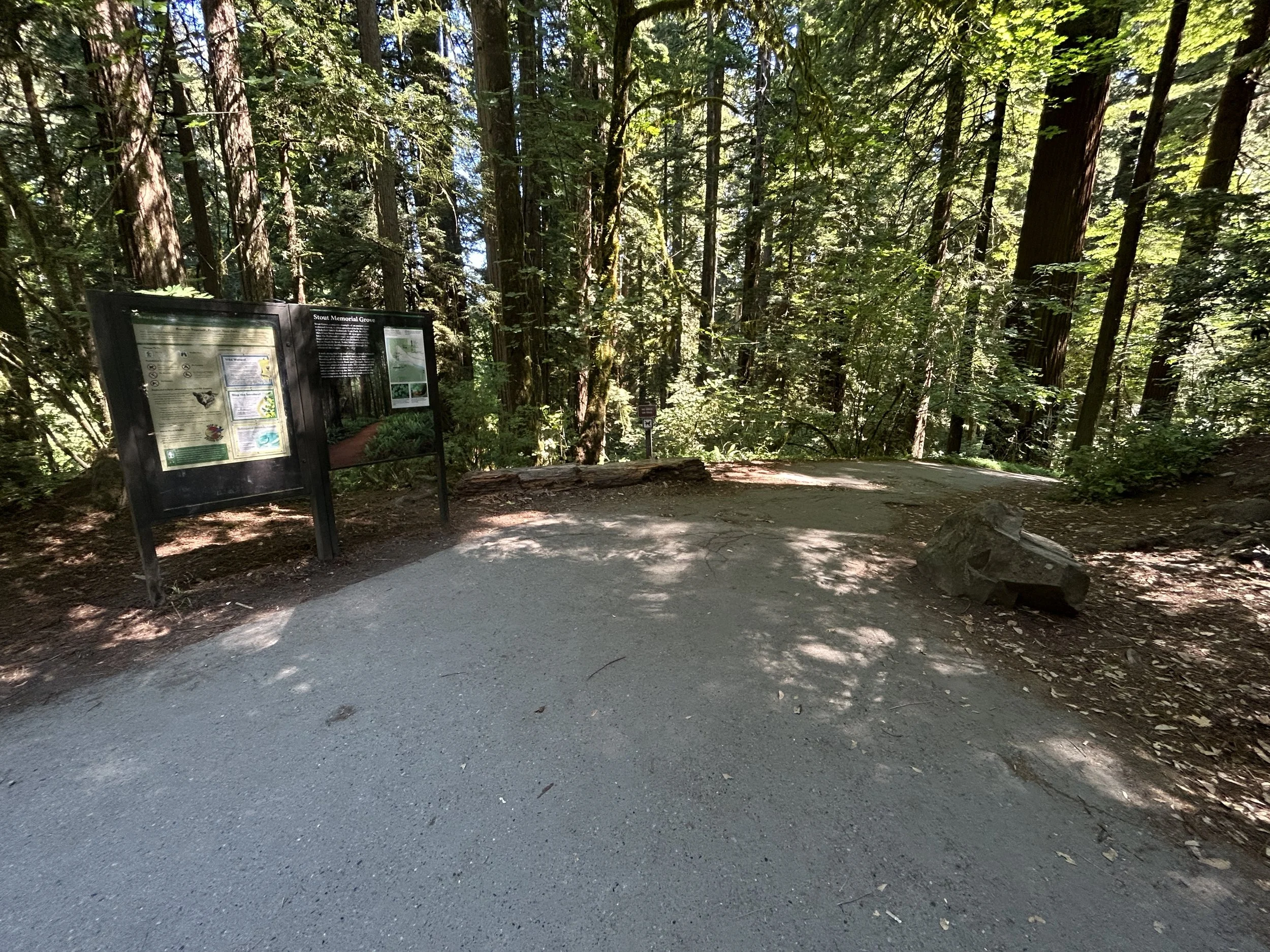 Hiking the Stout Memorial Grove Trail in Jedediah Smith Redwoods State ...
