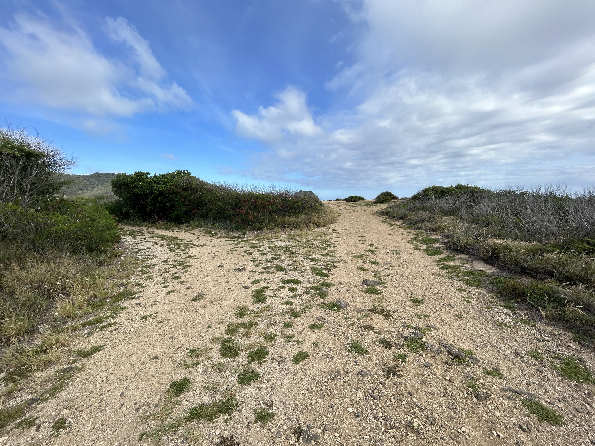 Hiking the Kaiwi Shoreline Trail on Oʻahu — noahawaii