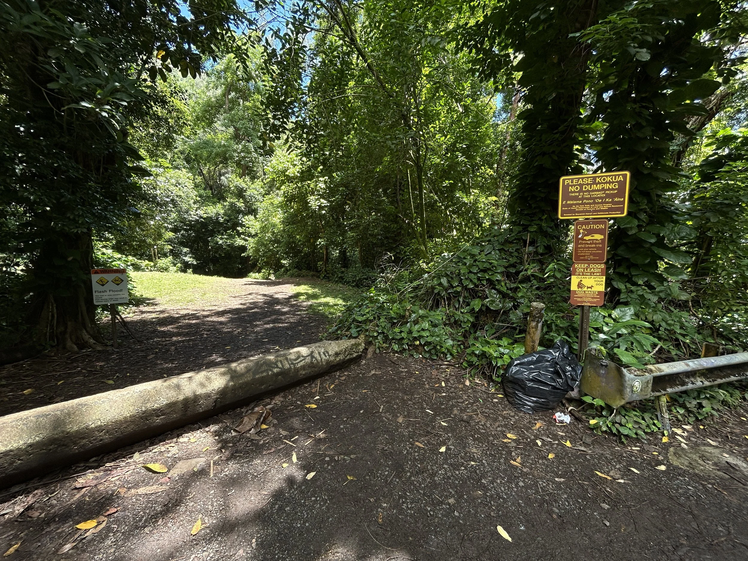 Hiking the Judd Trail & Jackass Ginger Pool on Oʻahu, Hawaiʻi — noahawaii