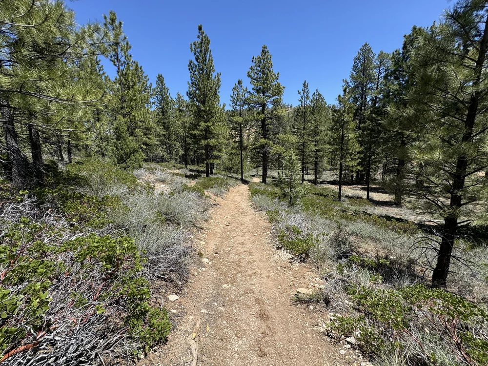 Hiking the Swamp Canyon Loop Trail in Bryce Canyon National Park ...