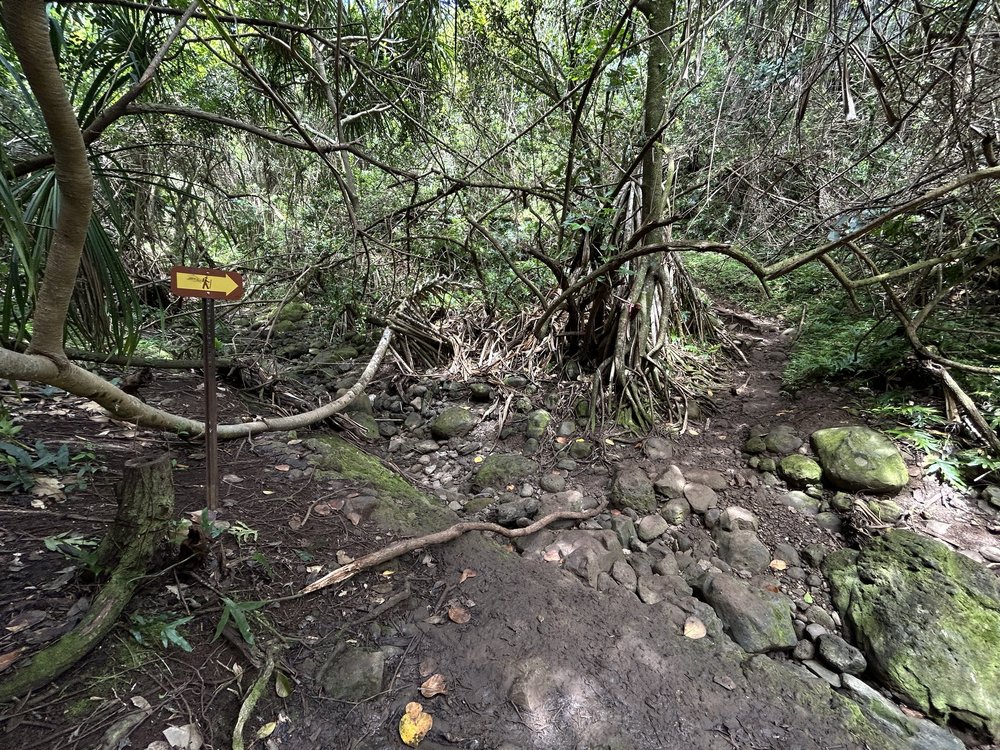 Hiking the Hauʻula Loop Trail on the North Shore of Oʻahu, Hawaiʻi ...