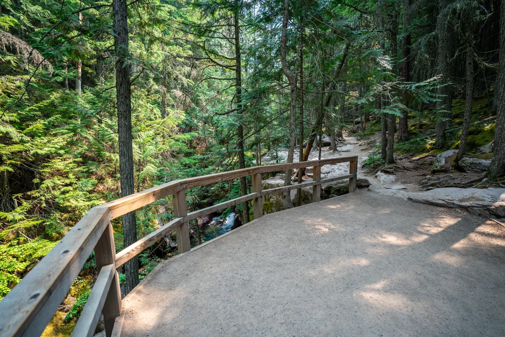 Hiking the Avalanche Lake Trail in Glacier National Park — noahawaii