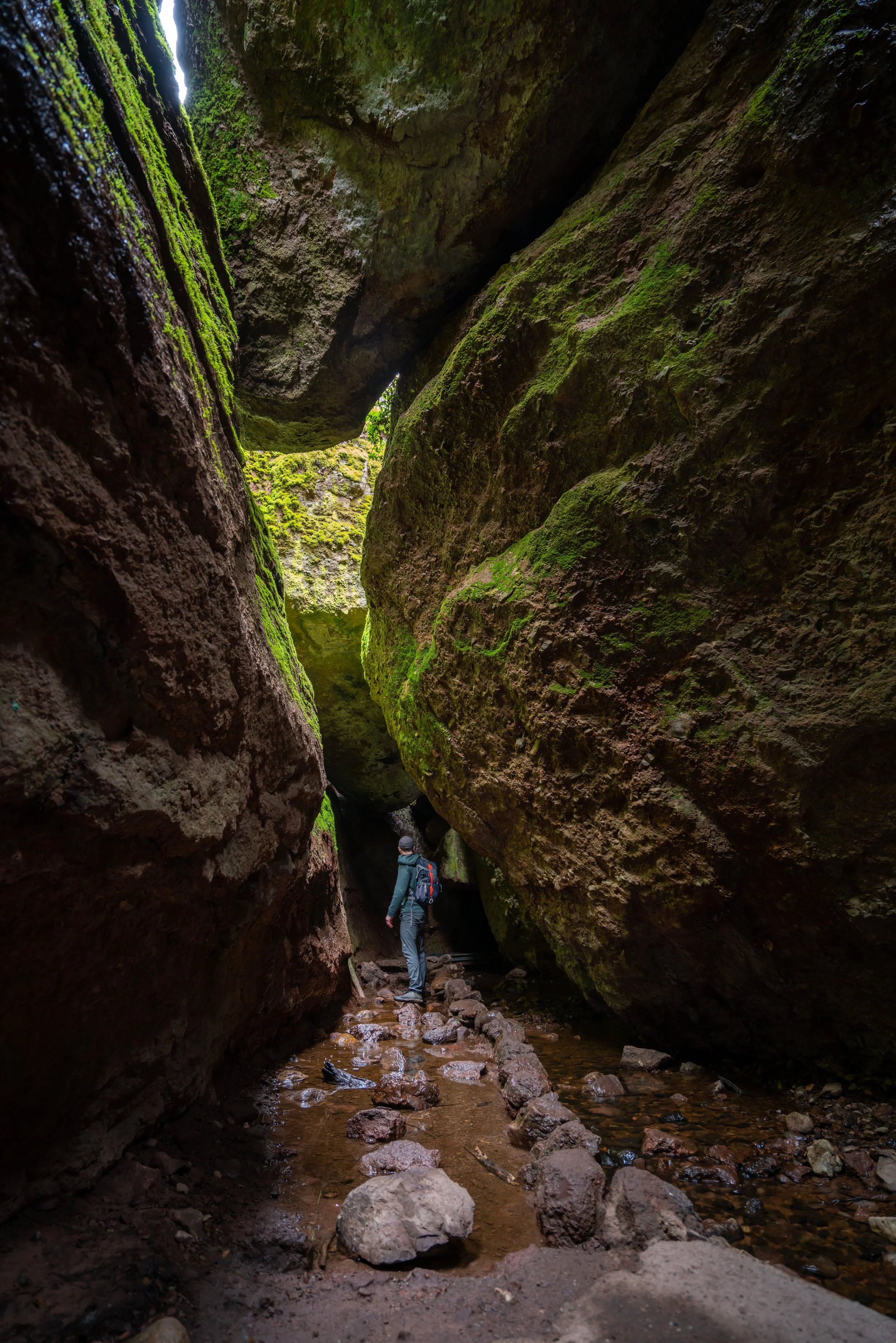 Pinnacles Park California