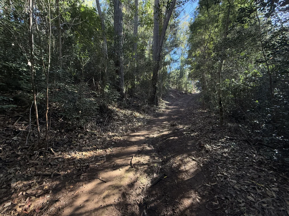 Hiking the Koloiki Ridge-Kaiholena Ridge Loop Trail on Lānaʻi, Hawaiʻi ...