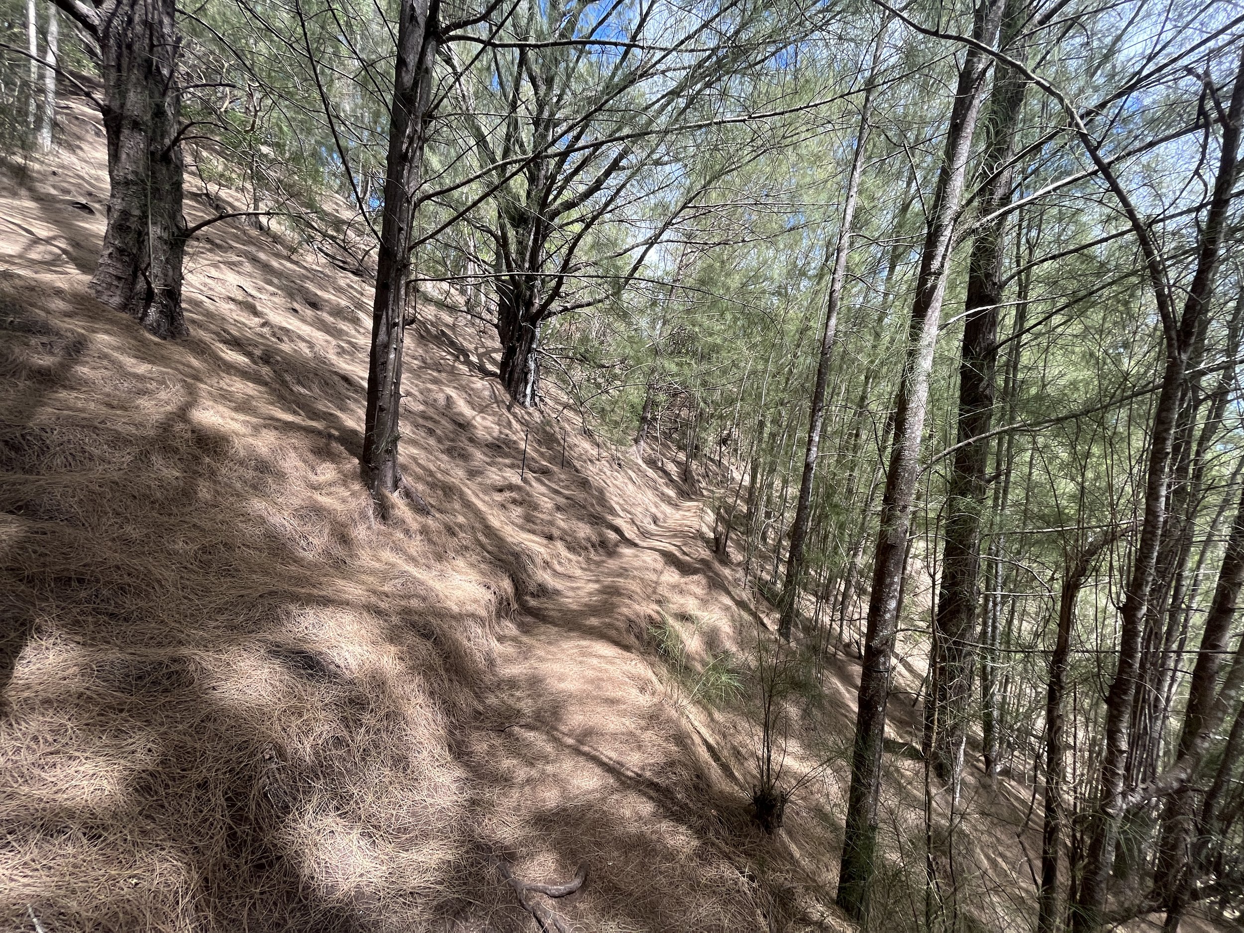 Hiking the Kuliʻouʻou Ridge Trail on Oʻahu — noahawaii