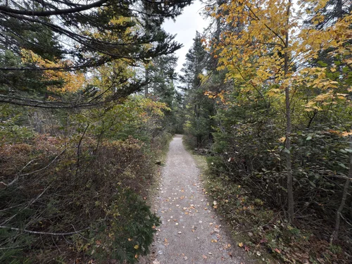 Hiking the Wonderland Trail in Acadia National Park — noahawaii