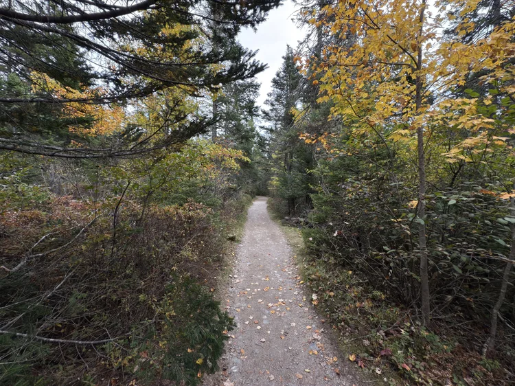 Hiking the Wonderland Trail in Acadia National Park — noahawaii