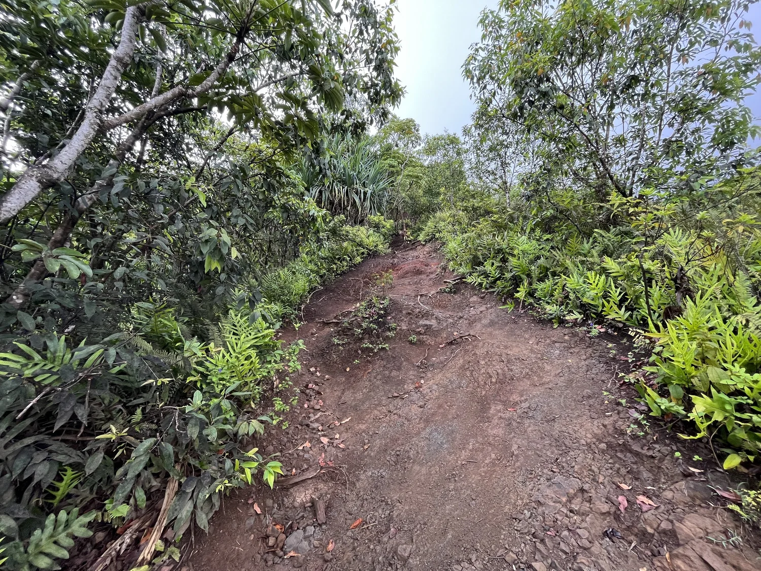 Hiking the Crouching Lion Trail on Oʻahu — noahawaii