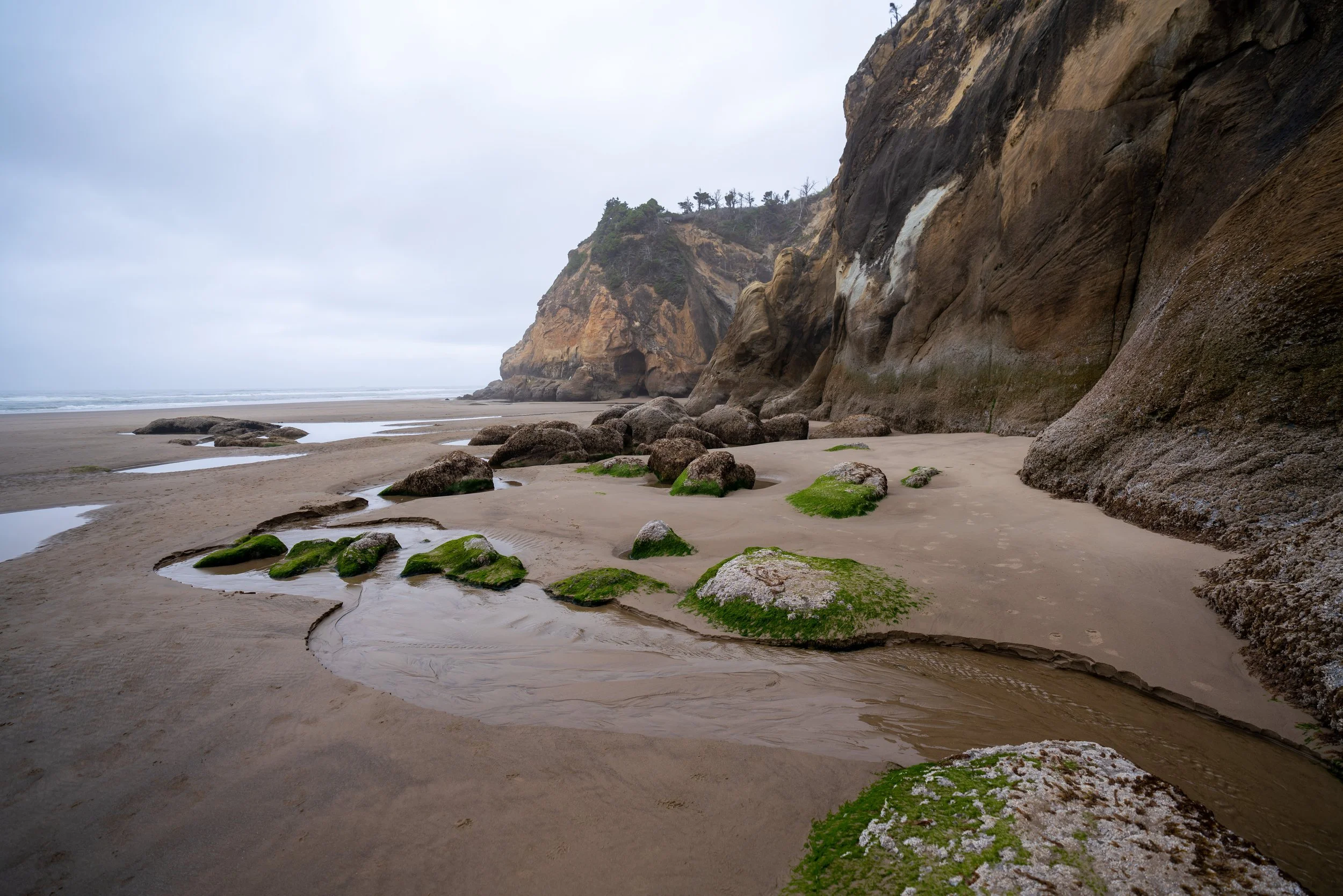 42 Best Things to Do on the Oregon Coast: Driving North to South ...
