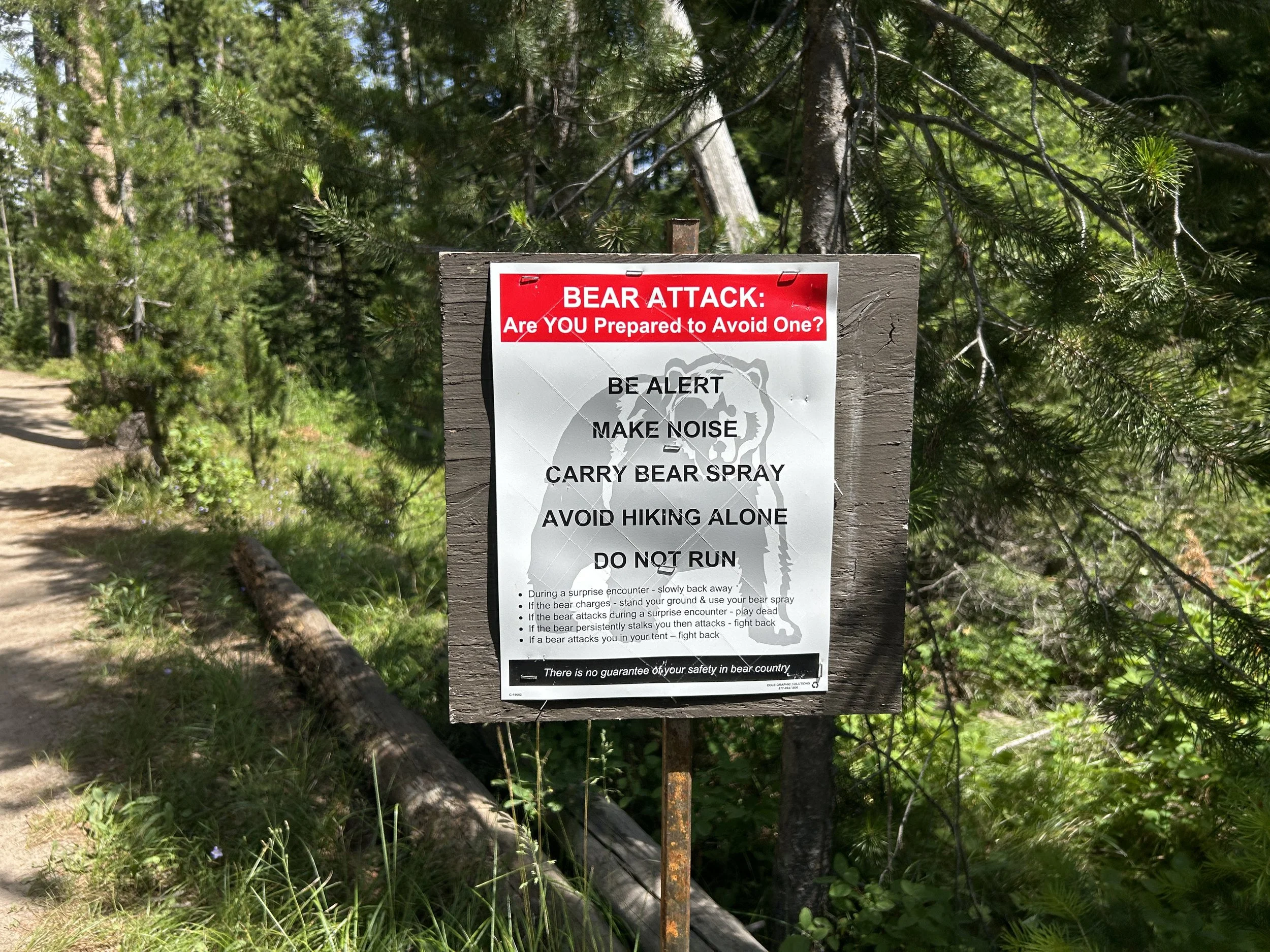 Hiking the String Lake Loop Trail in Grand Teton National Park — noahawaii