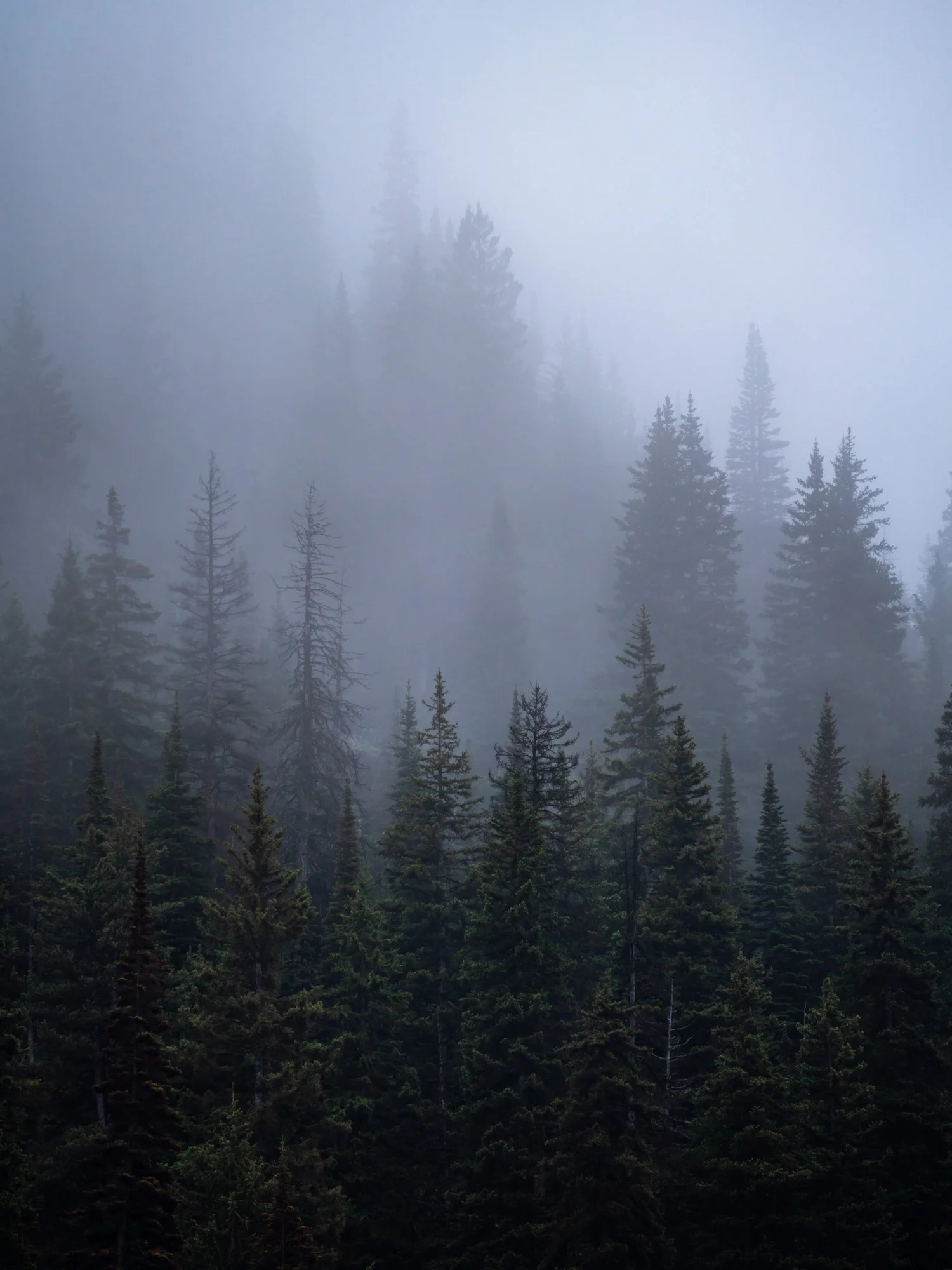 Hiking the East Rosebud Trail to Rainbow Lake in the Beartooth ...