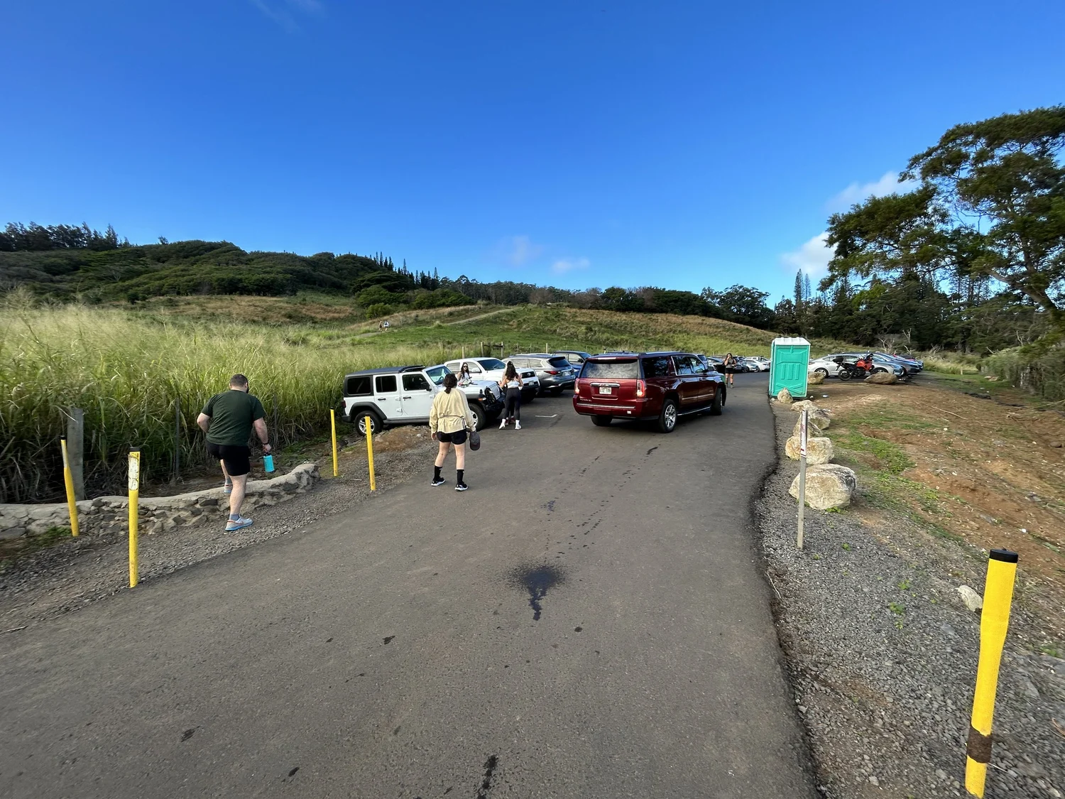 Hiking the Waiheʻe Ridge Trail on Maui, Hawaiʻi — noahawaii