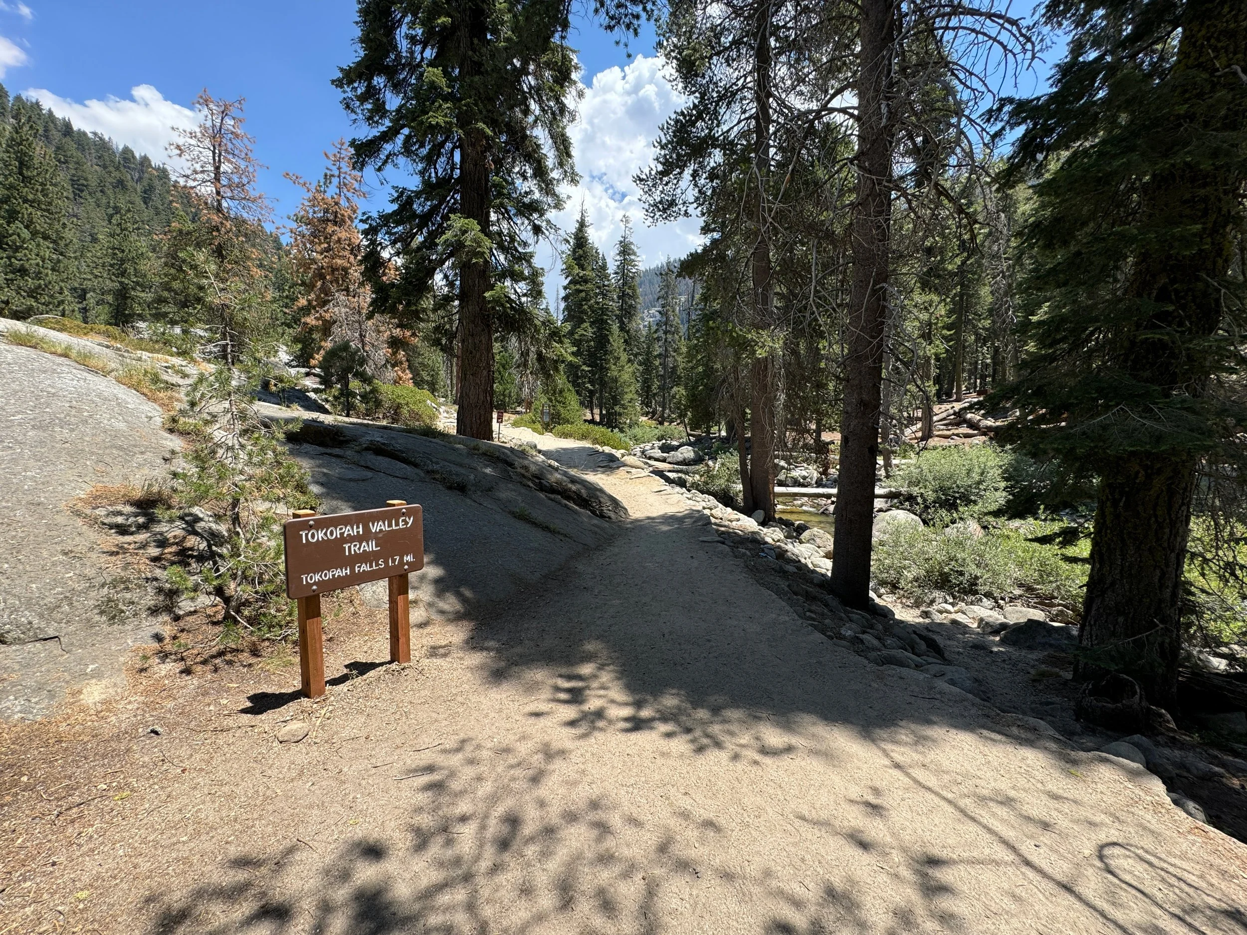 Hiking the Tokopah Falls Trail in Sequoia National Park — noahawaii