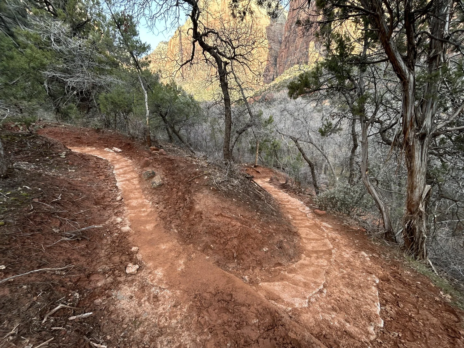 Hiking the Sand Bench Trail in Zion National Park — noahawaii
