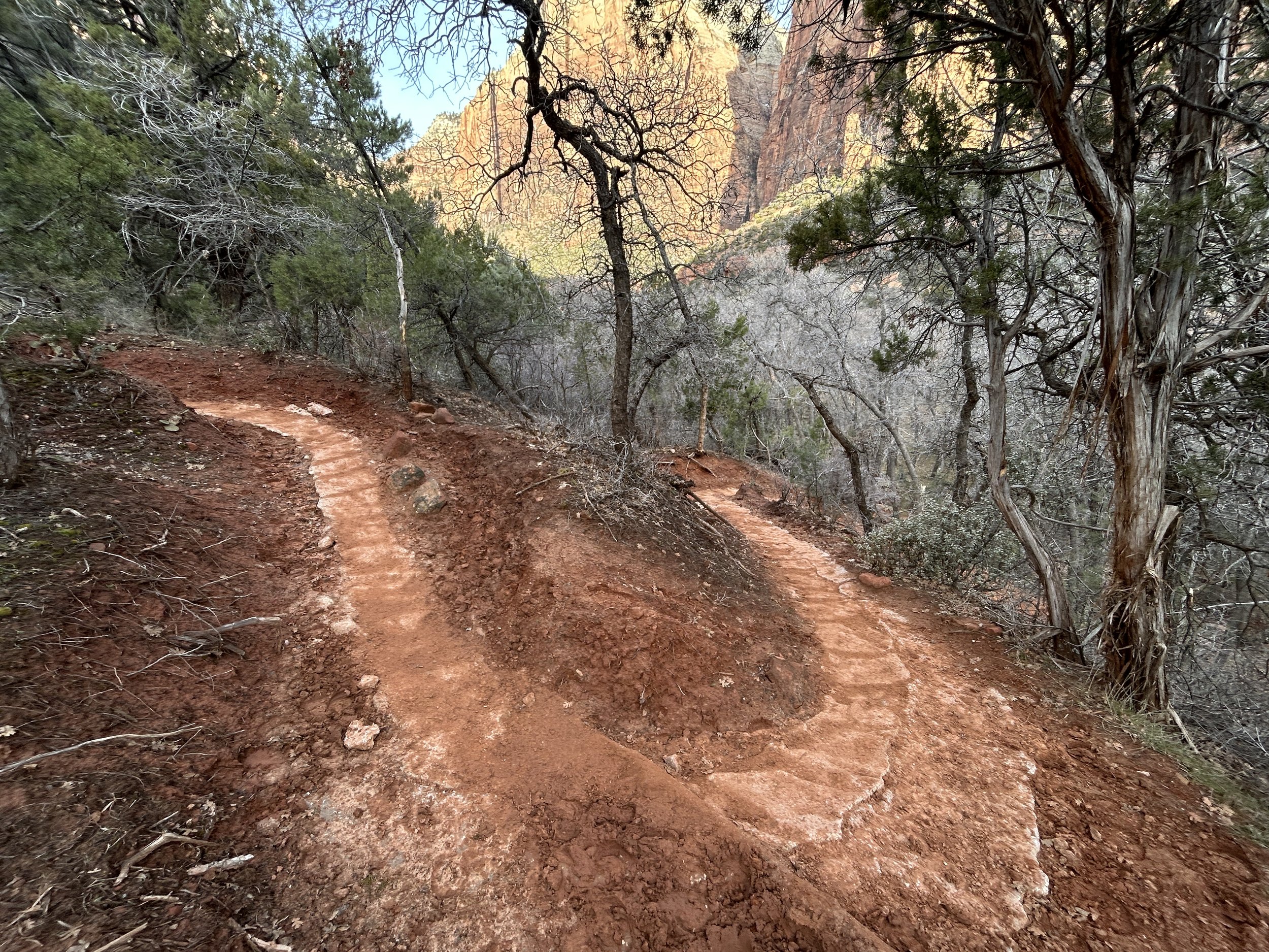 Hiking the Sand Bench Trail in Zion National Park — noahawaii