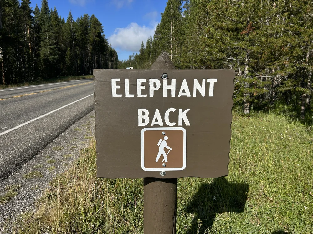 Hiking the Elephant Back Mountain Trail in Yellowstone National Park ...