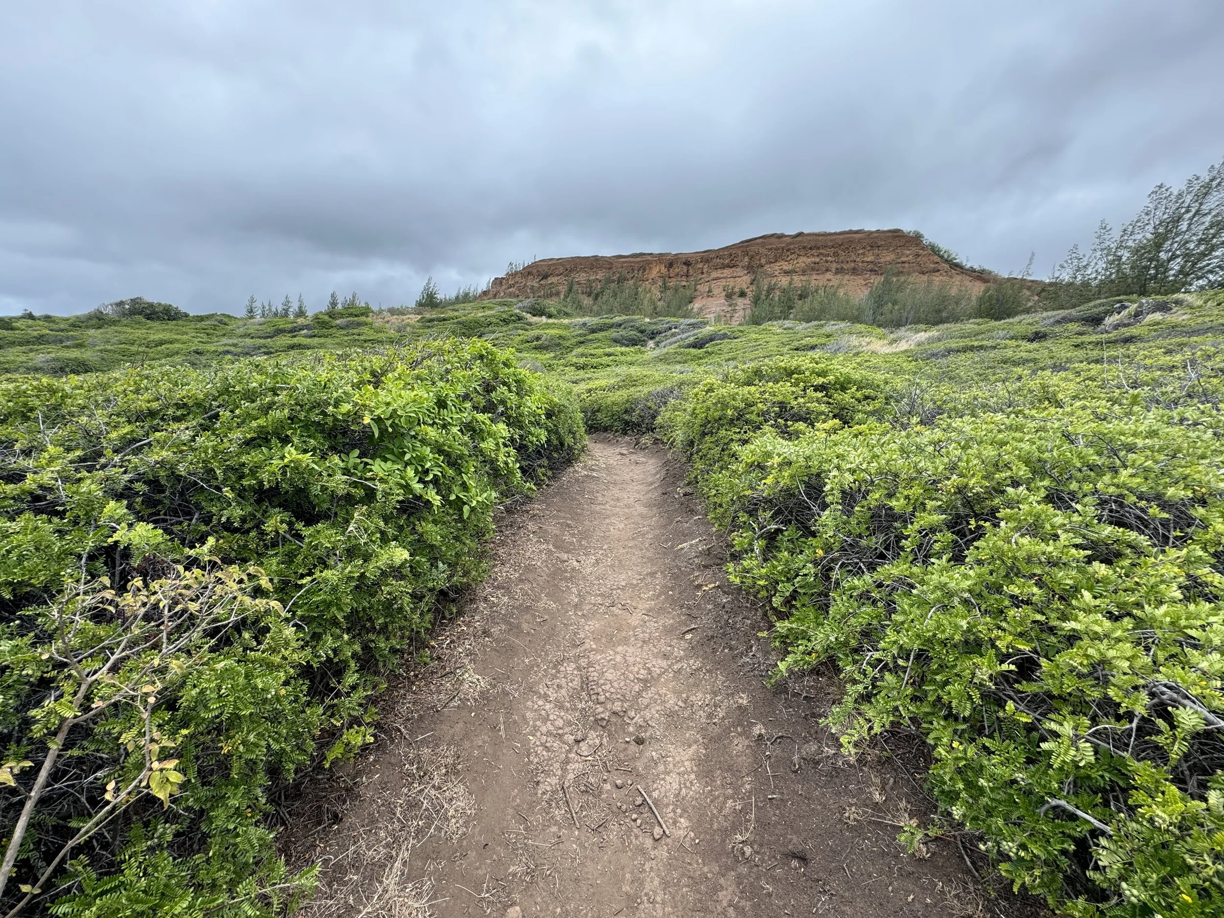 Hiking the ʻŌhai Loop Trail on Maui, Hawaiʻi — noahawaii