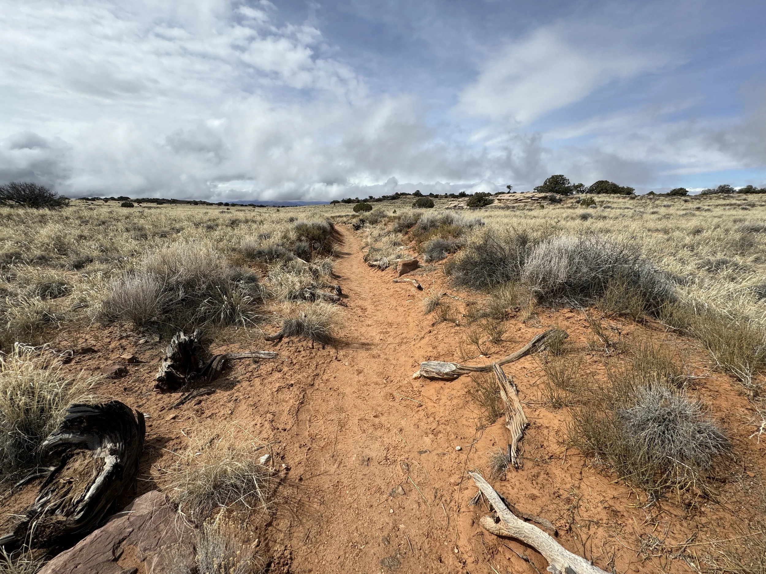 Hiking the Murphy Point Trail in Canyonlands National Park — noahawaii
