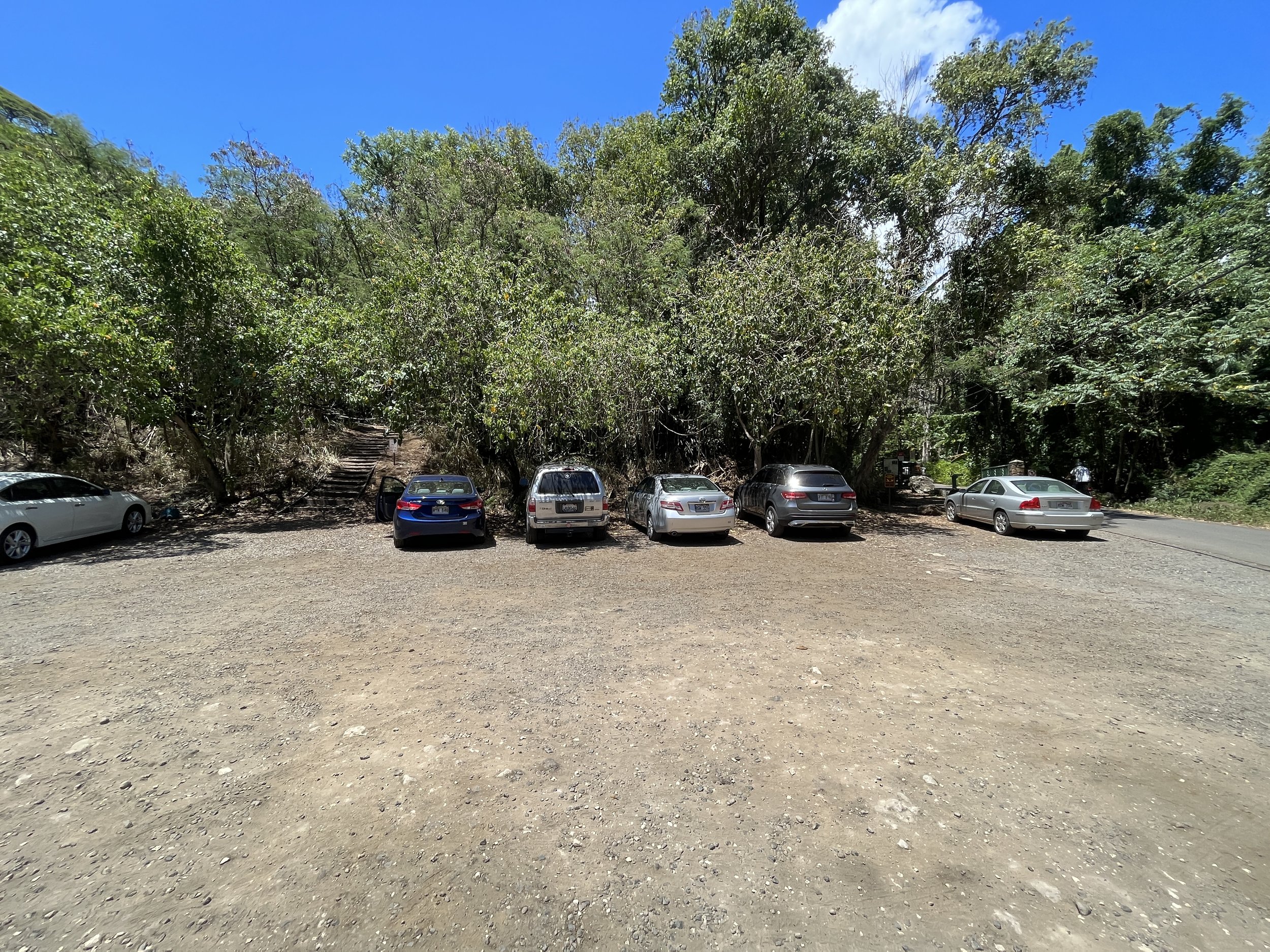 Hiking the Tantalus Loop Trail to the Pauoa Flats Bench on Oʻahu ...