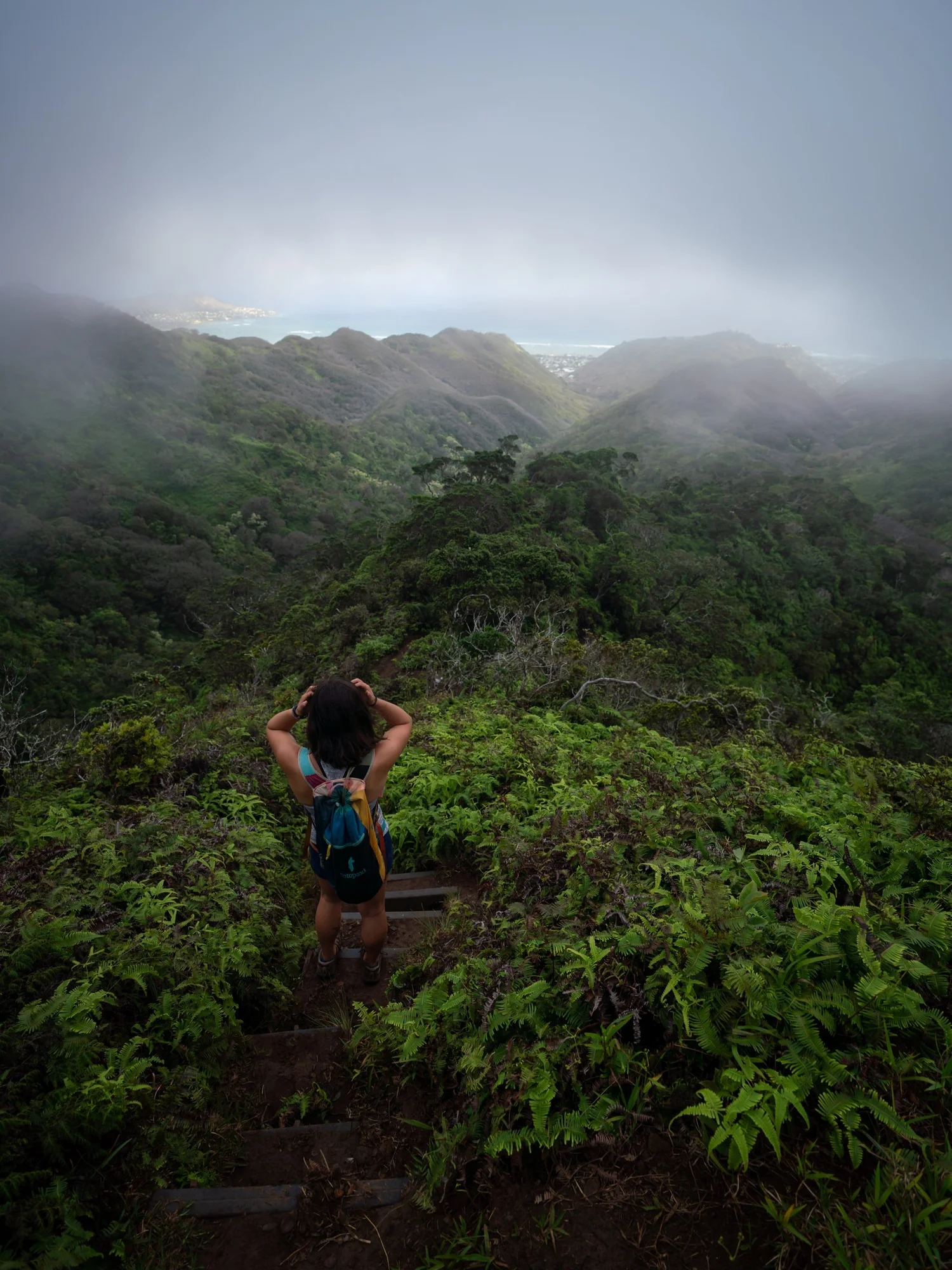 Hiking the Hawaiʻi Loa Ridge Trail on Oʻahu, Hawaiʻi — noahawaii