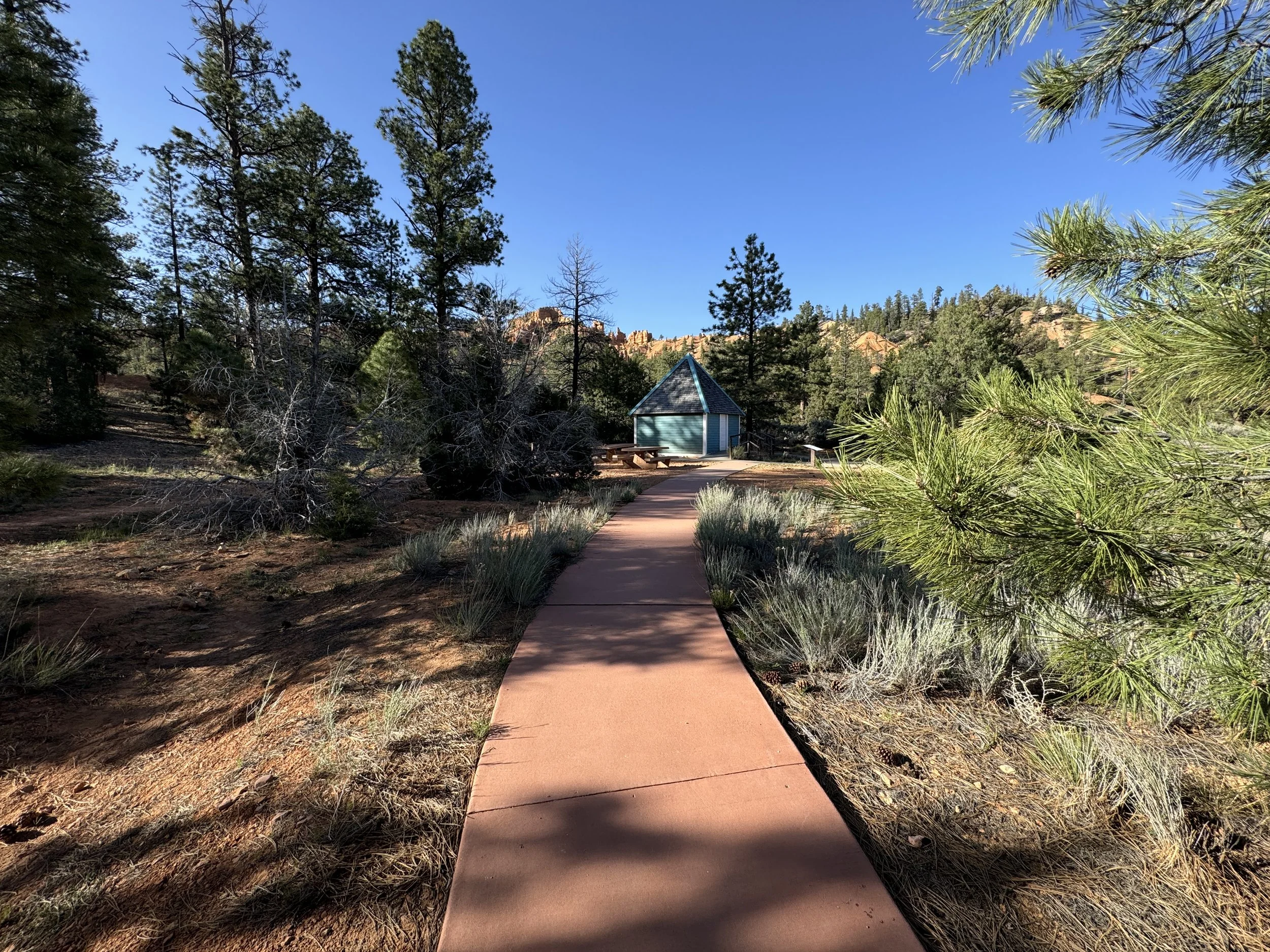 Hiking the Pink Ledges-Birdseye-Photo Loop Trail in Red Canyon, Utah ...