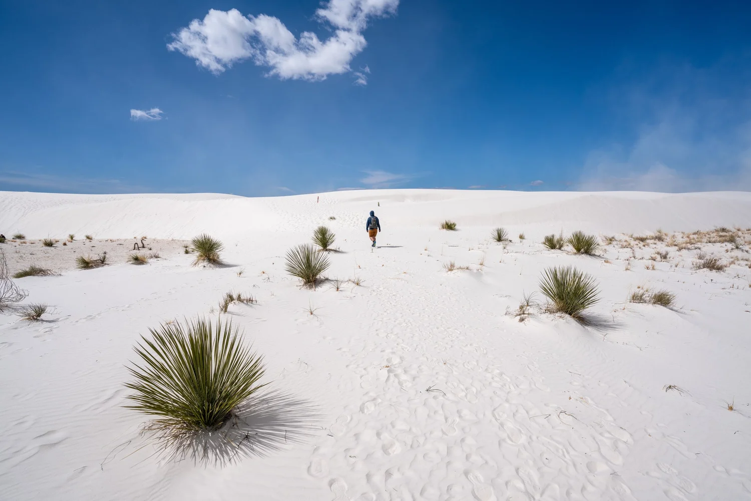 Hiking the Backcountry Camping Loop Trail in White Sands National Park ...