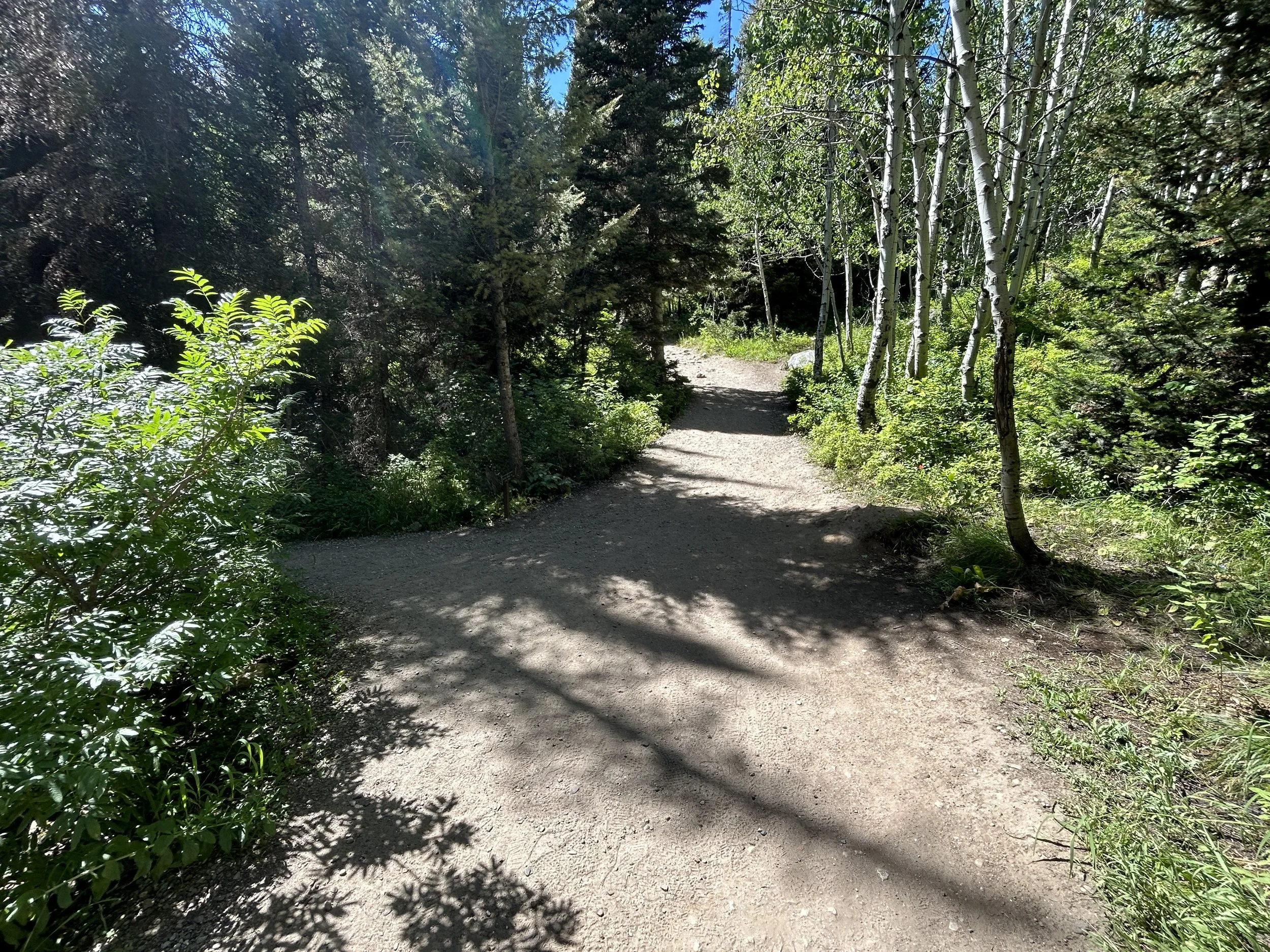 Hiking the Inspiration Point Trail via Jenny Lake Visitor Center in ...