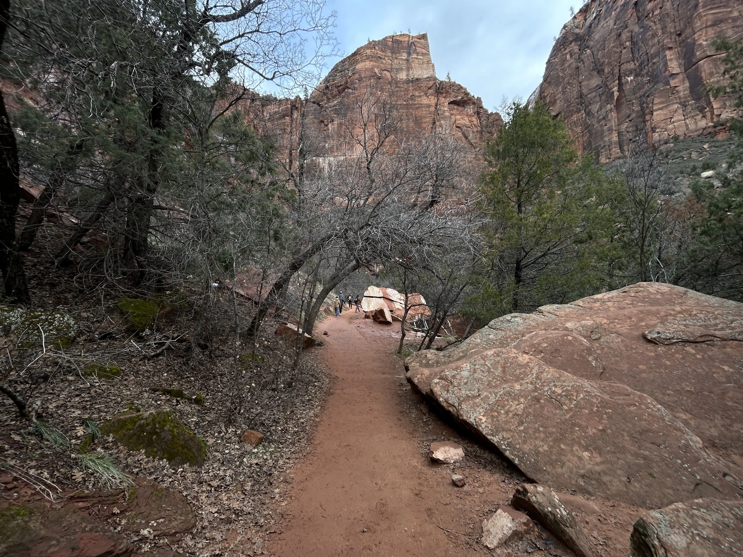Hiking the Upper and Lower Emerald Pools Trail in Zion National Park ...