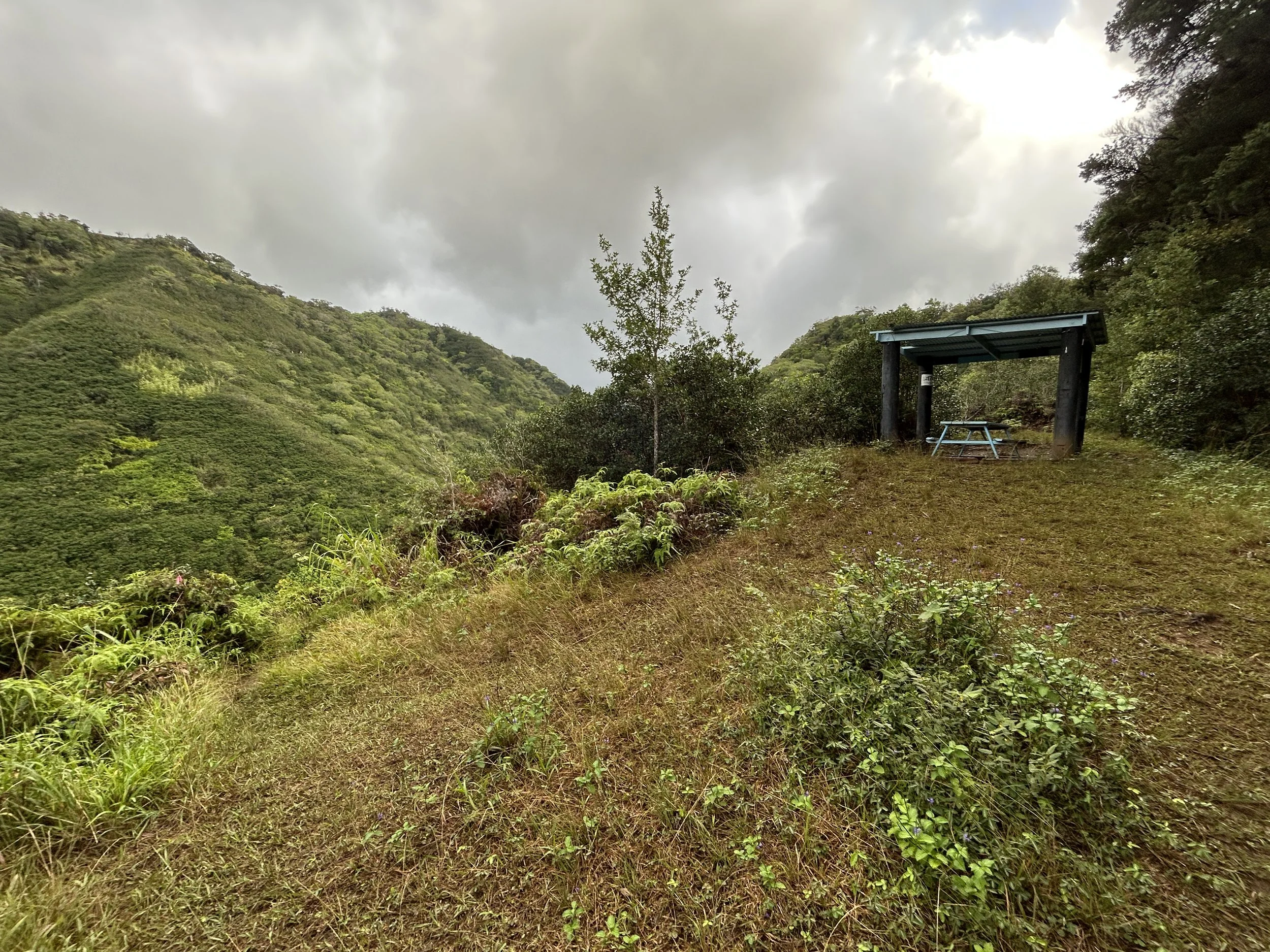 Hiking the Waimano Ridge Trail on Oʻahu — noahawaii