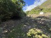 Hiking the Hālawa Valley Trail to Moaʻula & Hīpuapua Falls on Molokai ...