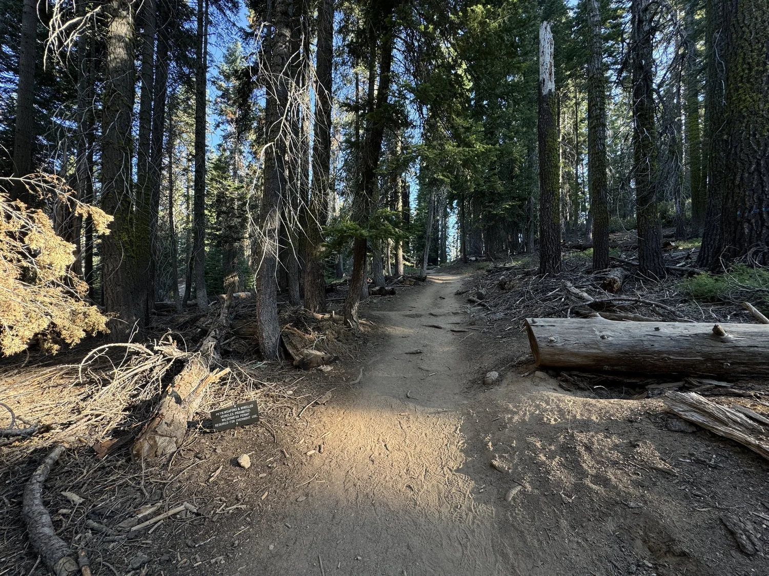 Hiking the Long Meadow Loop Trail in Sequoia National Park — noahawaii