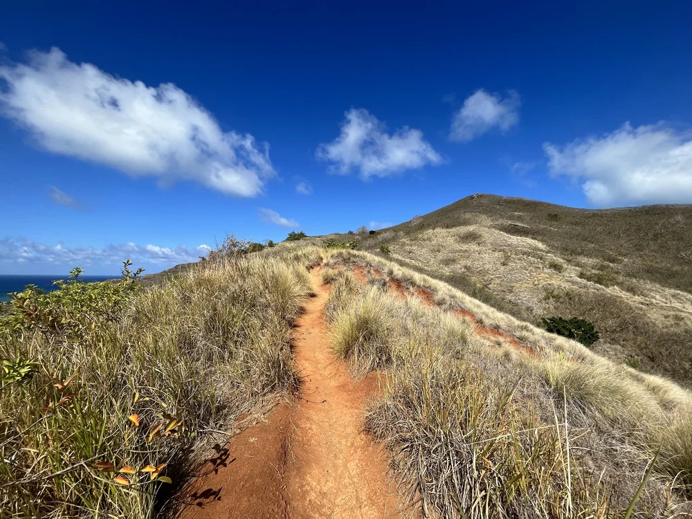 Hiking the Back Way to the Lanikai Pillbox Trail (Kaʻiwa Ridge), Oʻahu ...