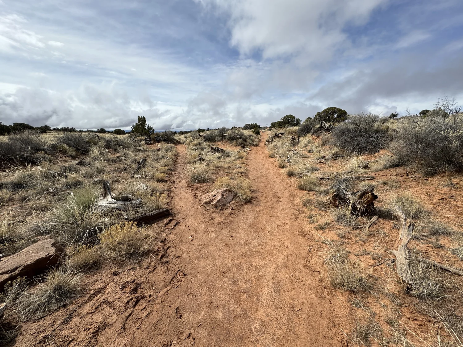 Hiking the Murphy Point Trail in Canyonlands National Park — noahawaii