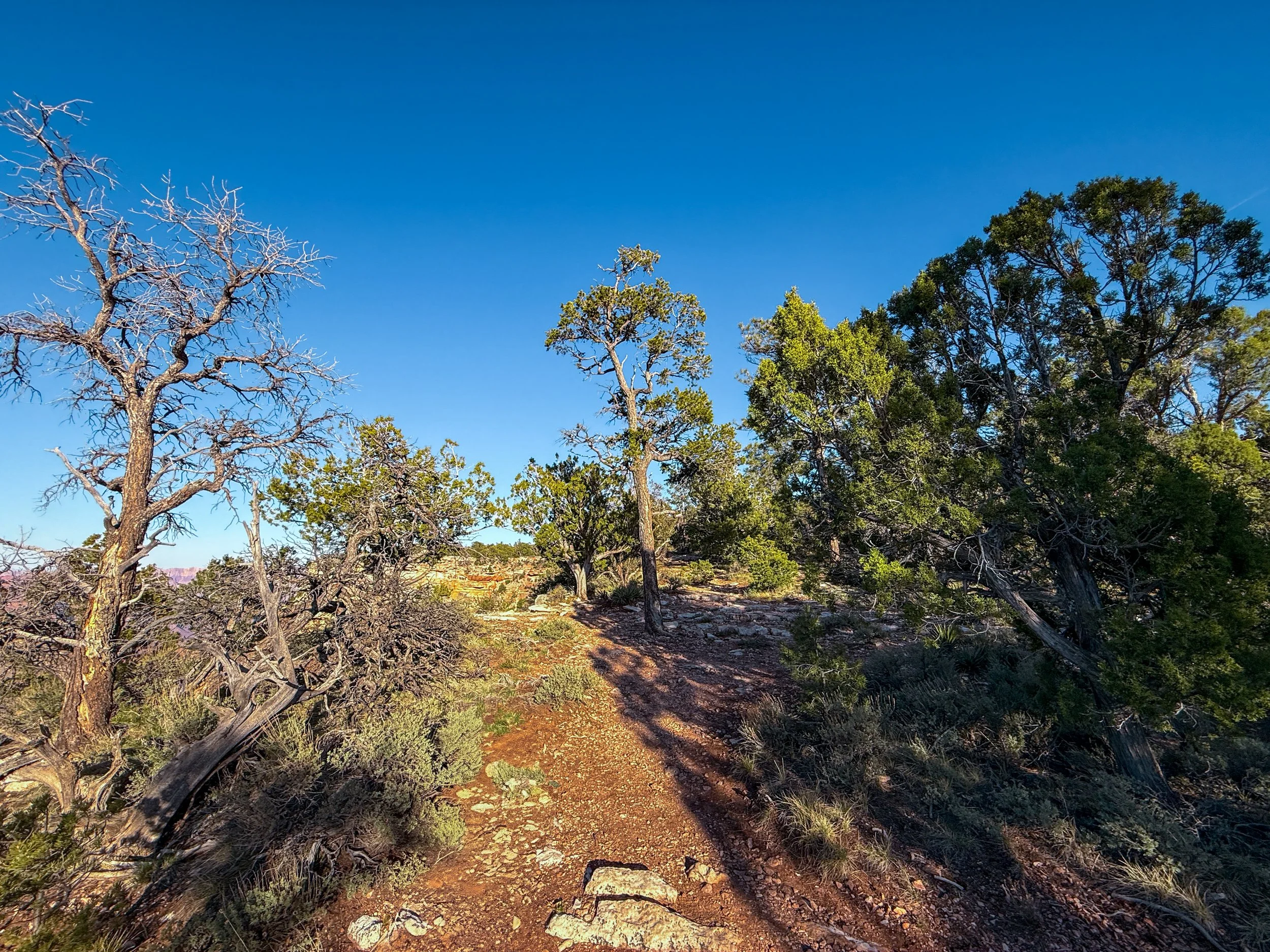 Hiking the Duck on a Rock Trail in Grand Canyon National Park — noahawaii