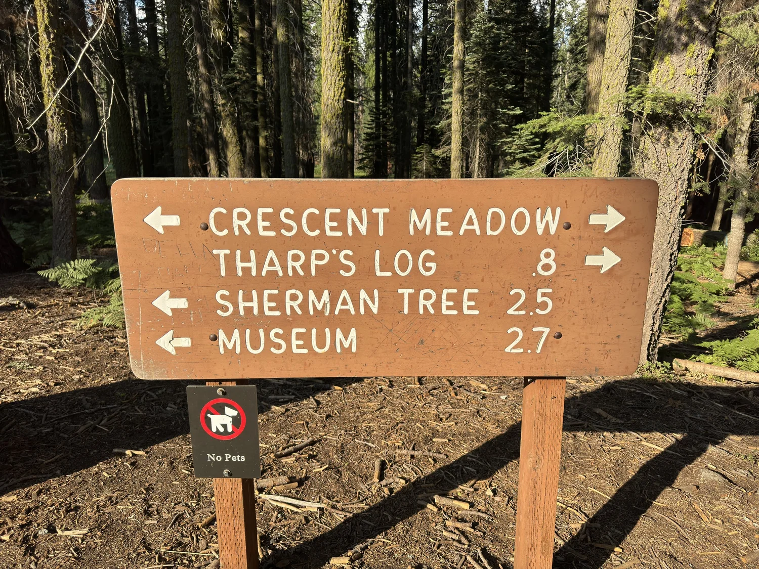 Hiking the Crescent Meadow Loop Trail in Sequoia National Park — noahawaii