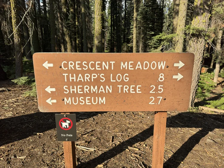 Hiking the Crescent Meadow Loop Trail in Sequoia National Park — noahawaii