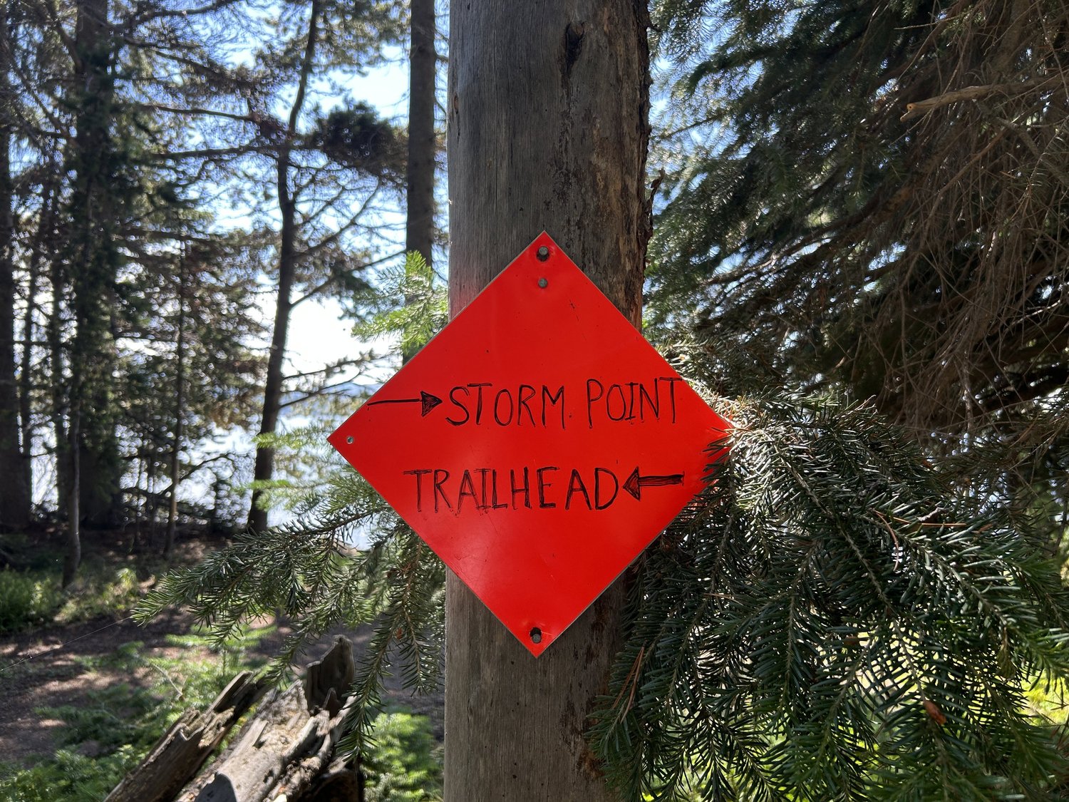 Hiking the Storm Point Trail in Yellowstone National Park — noahawaii