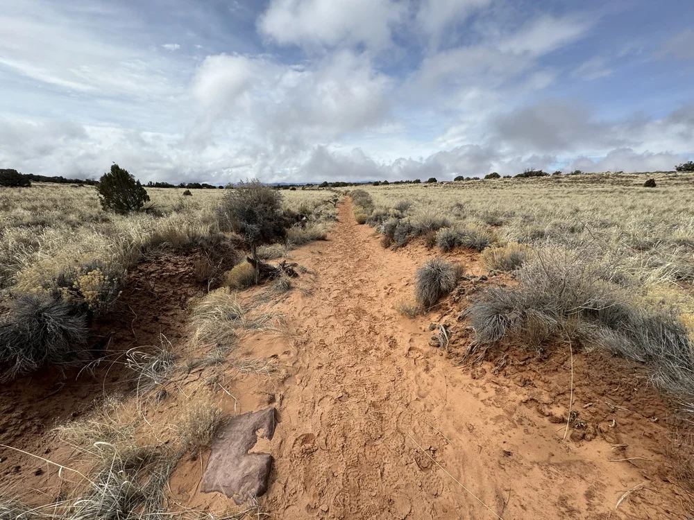 Hiking the Murphy Point Trail in Canyonlands National Park — noahawaii
