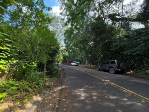 Hiking the Judd Trail & Jackass Ginger Pool on Oʻahu, Hawaiʻi — noahawaii