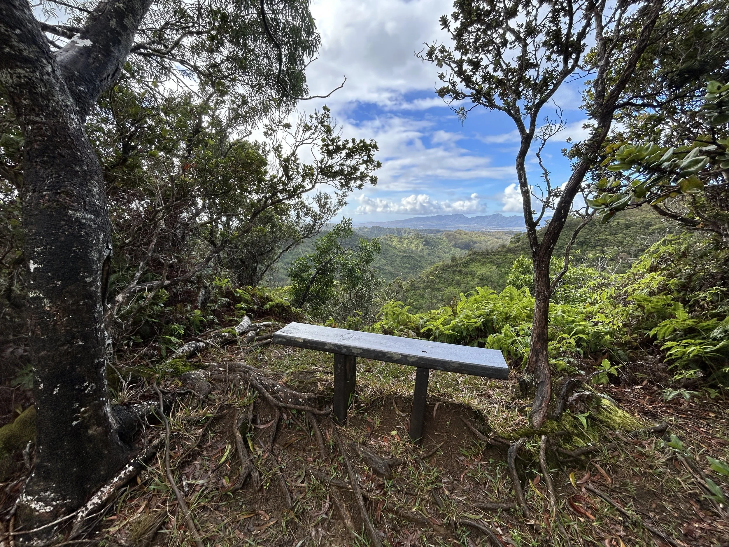 Hiking the Poamoho Trail on Oʻahu, Hawaiʻi — noahawaii