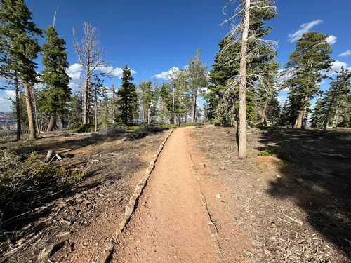 Hiking the Bristlecone Loop Trail in Bryce Canyon National Park — noahawaii